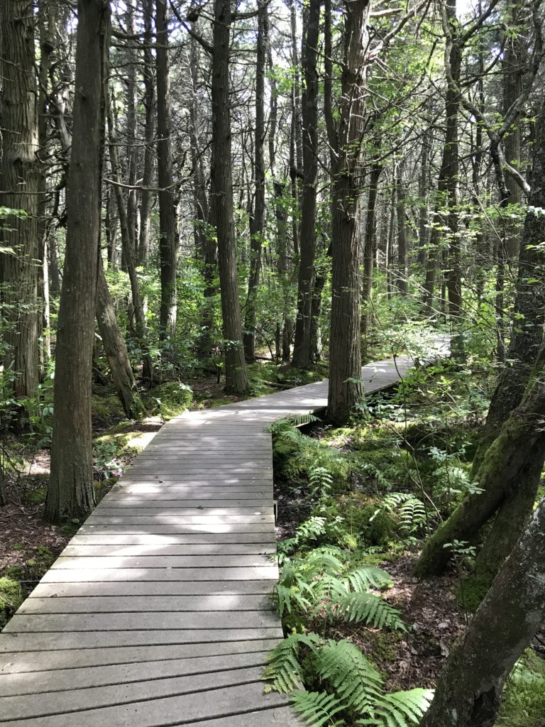 Contact - Cynthia Blakeley, PhD